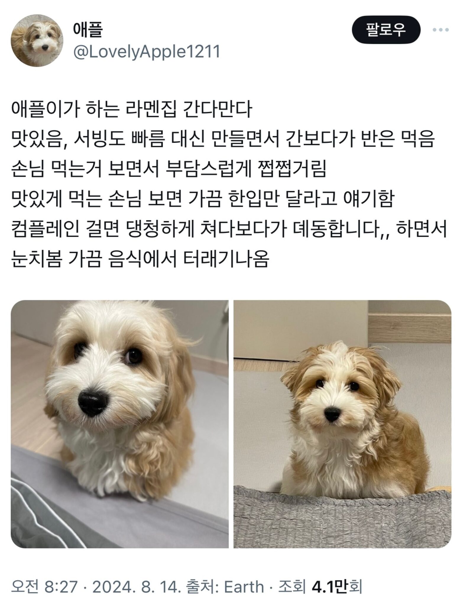 지금 유행 중인 X트위터 최신 트렌드와 밈 얼른 확인하고 활용해 보세요~ 꼬들 Ai 에이전트 초코우유 밈 나만의